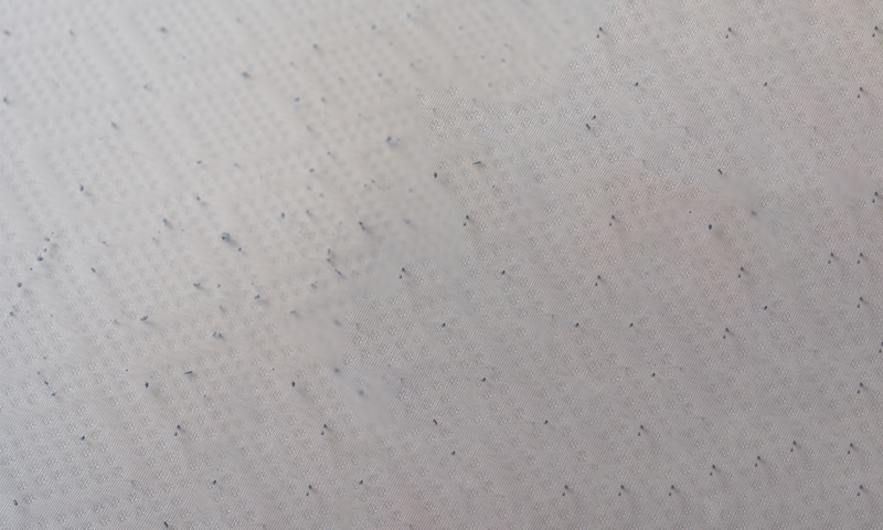 Elektrische Pluizen- en Huisdier Haarverwijderaar | Ruby Essentials